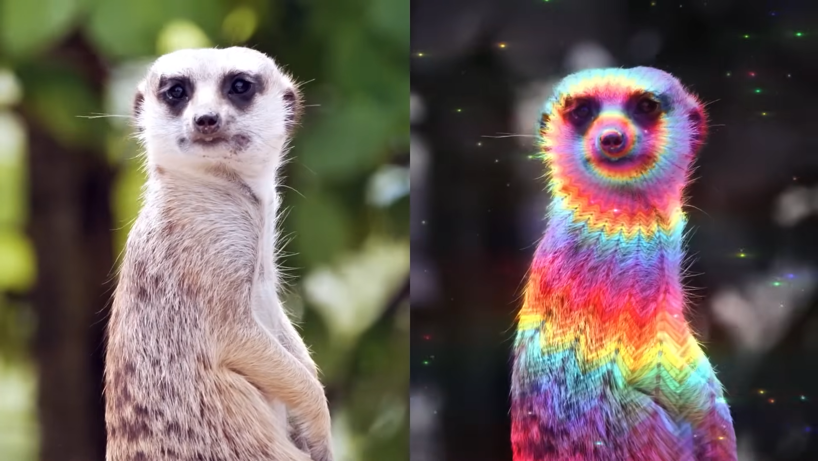 Aescripts - Lockdown 3 Download v3.1.5 (Win, Mac-v3.1.0)